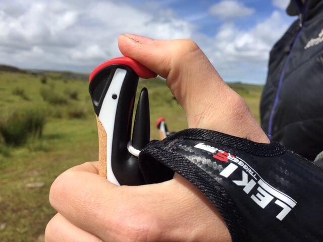 The Leki C100 Trail Stick tested & Reviewed 2020 | Gearweare.net