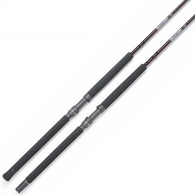 Best Saltwater Casting Rods Reviewed & Rated | Gearweare.net